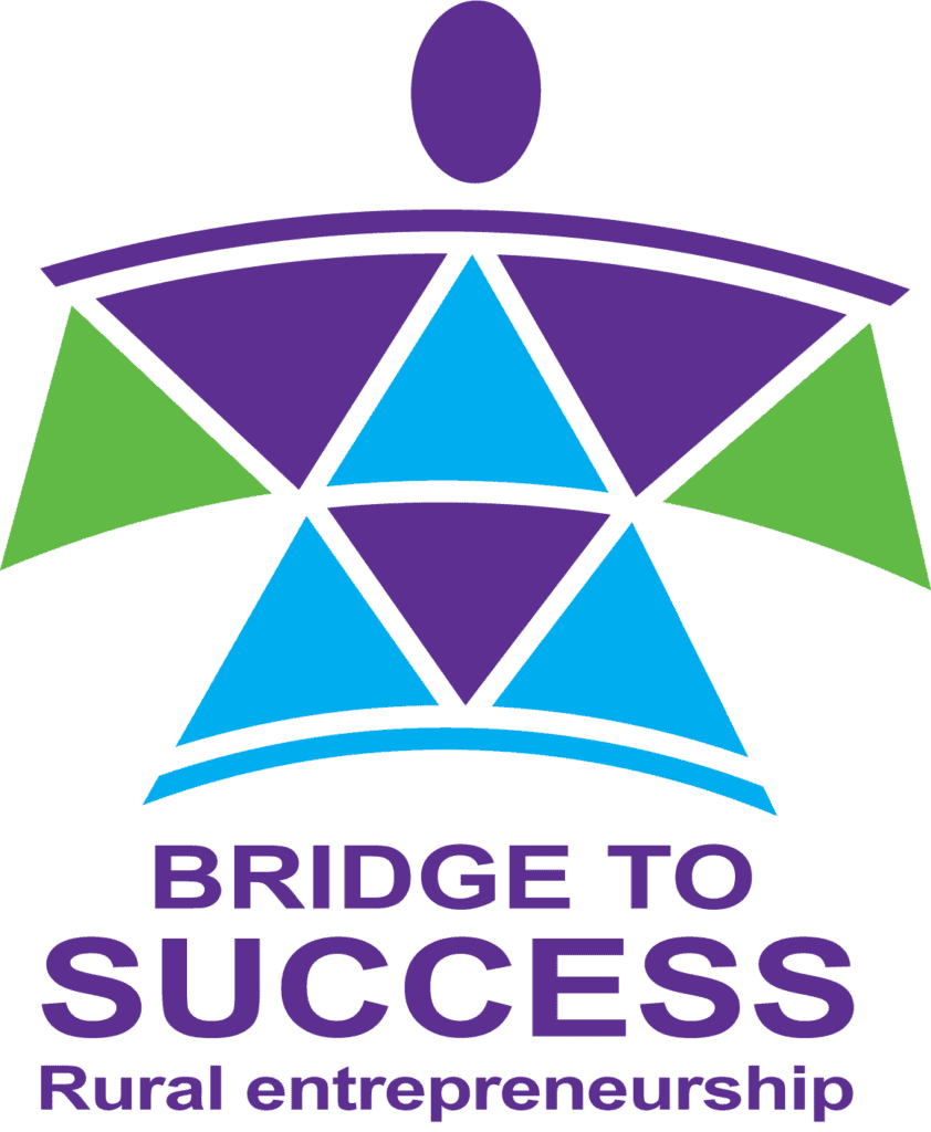Bridge to Success - Friendship Bridge
